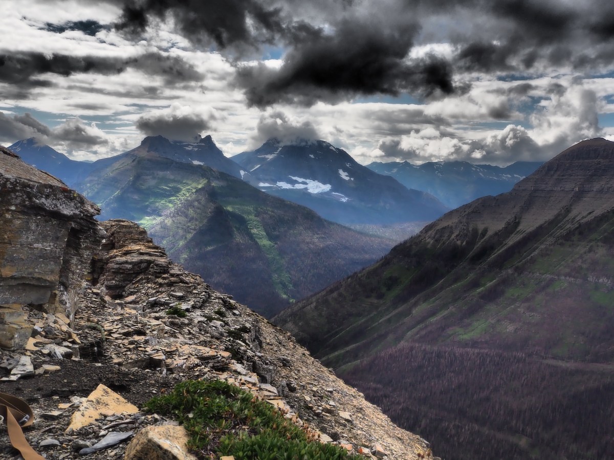 Don’t Mind Me, I’ll Just Be Sweeping – Wild Wilderness Women